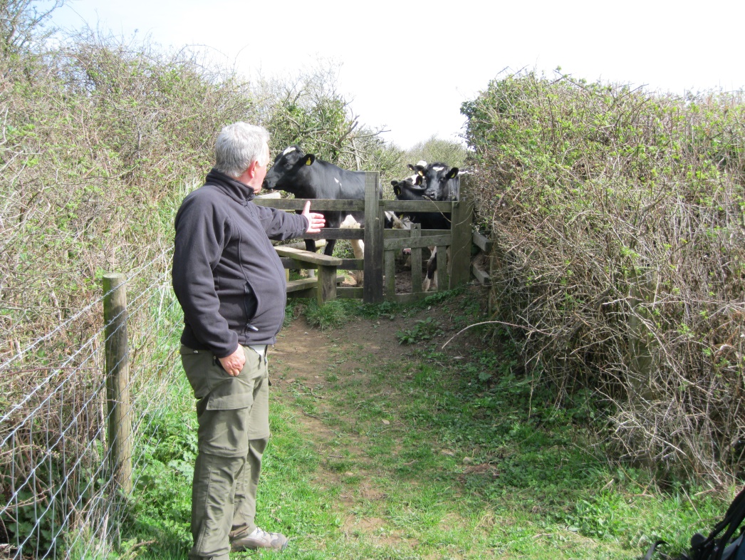5. Bideford to Hartland Quay – Over the hill-on the South West Coast Path